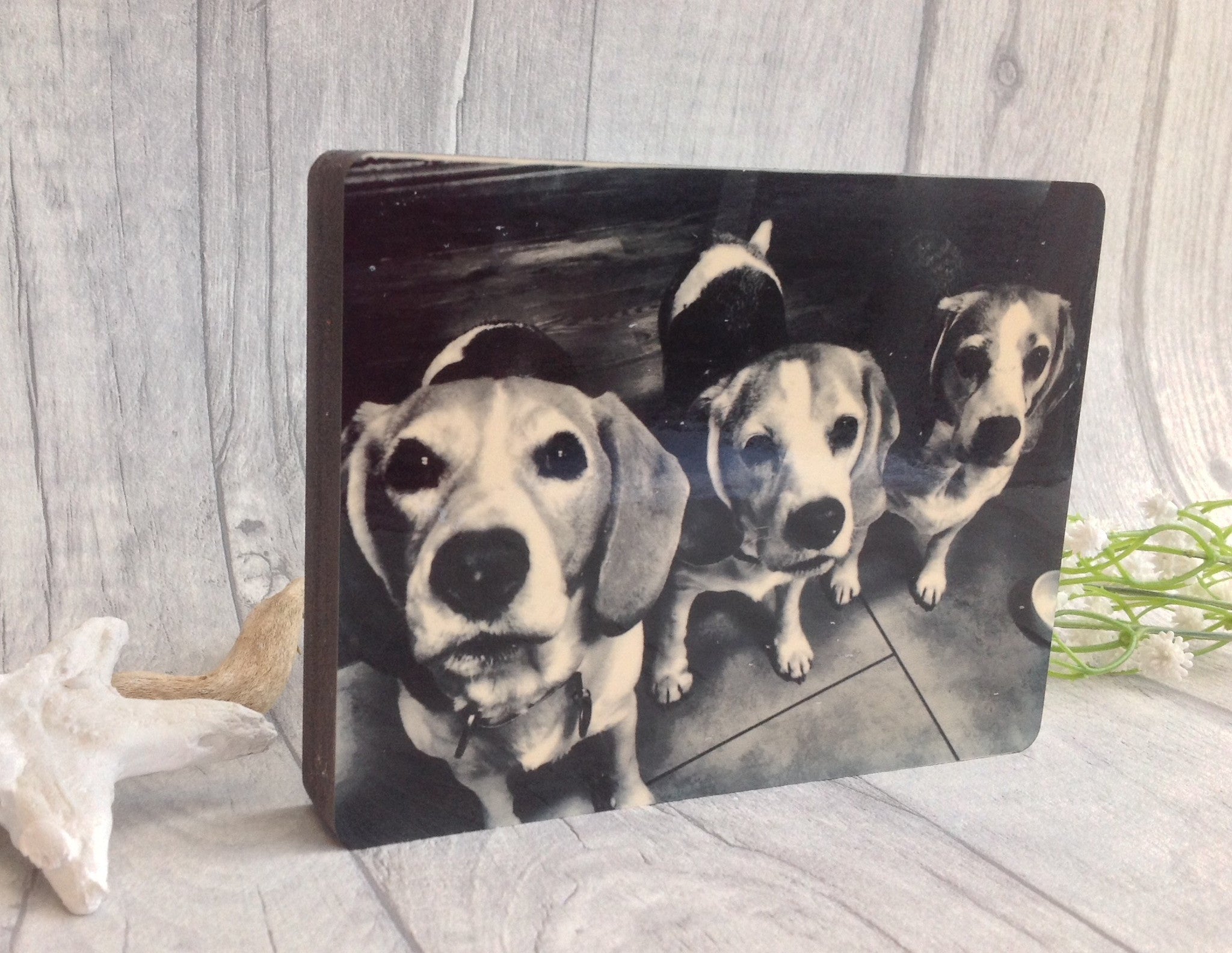 Photo block- your photo printed onto wood | Fred & Bo – Fred And Bo