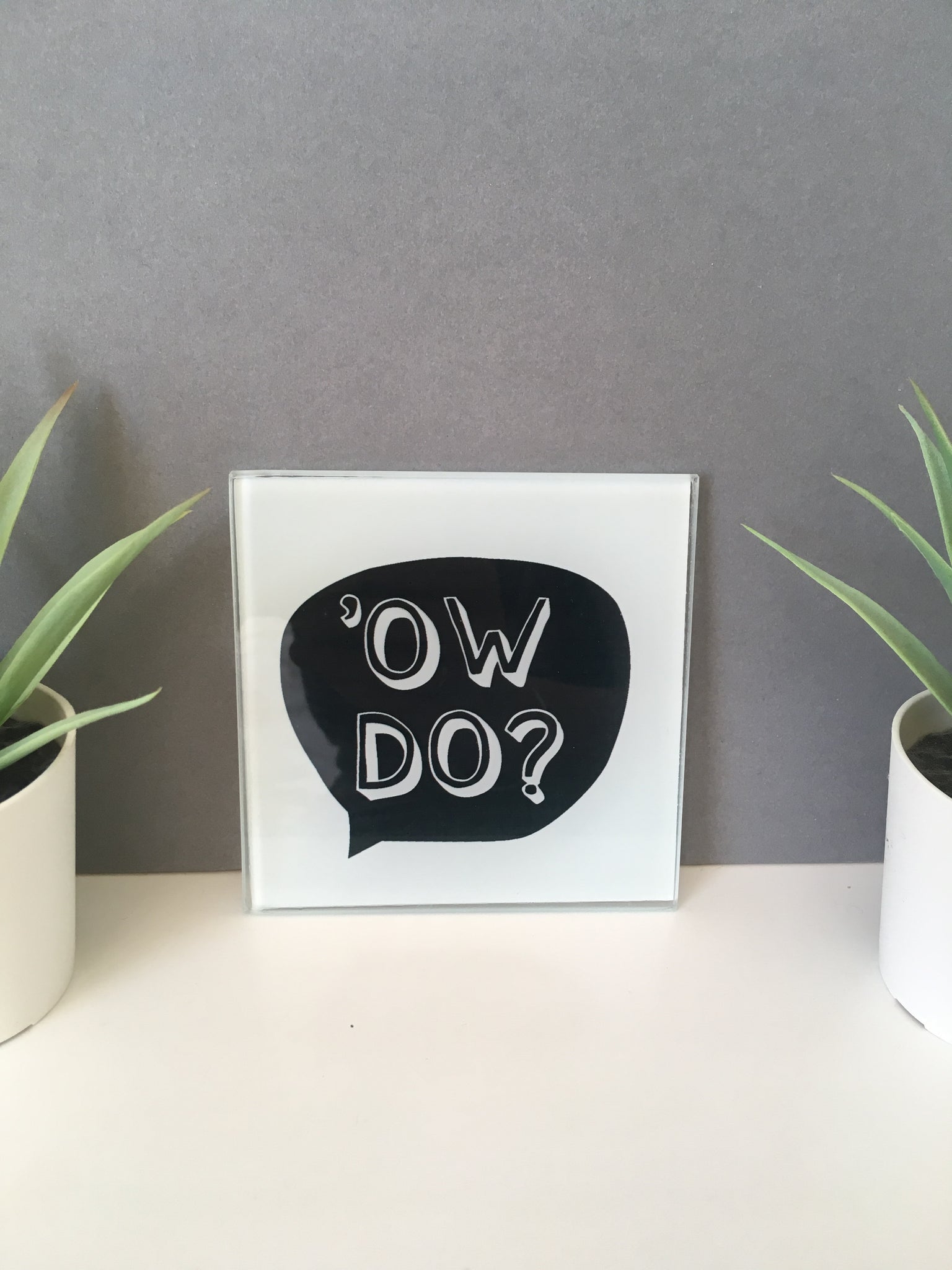 Yorkshire Slang - ‘ow do?- Glass Coaster – Fred And Bo
