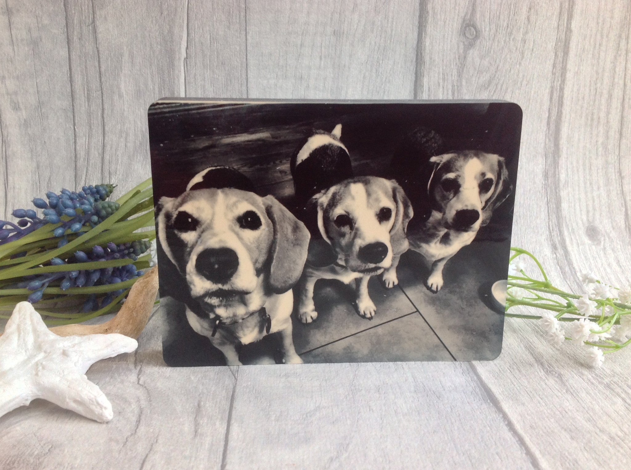 Photo block- your photo printed onto wood | Fred & Bo – Fred And Bo